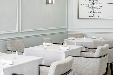 Xier | Synergy Lifestyle